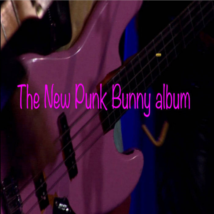 THE NEW PUNK BUNNY ALBUM | PUNK BUNNY