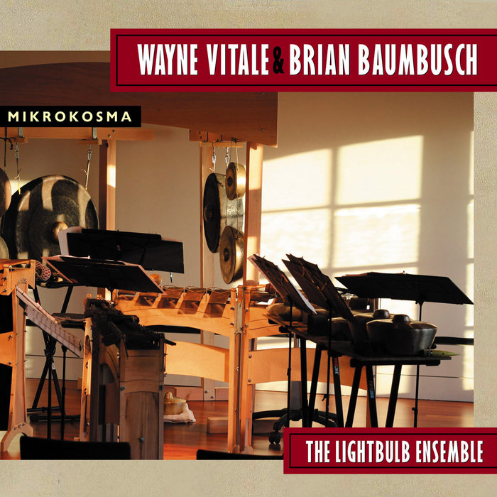 Wayne Vitale & Brian Baumbusch: Mikrokosma | The Lightbulb Ensemble ...