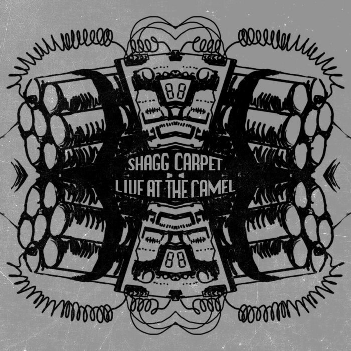 Live at The Camel | Shagg Carpet