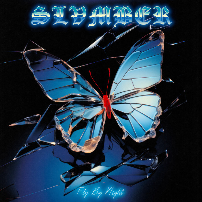 Fly By Night (LP) | Slvmber