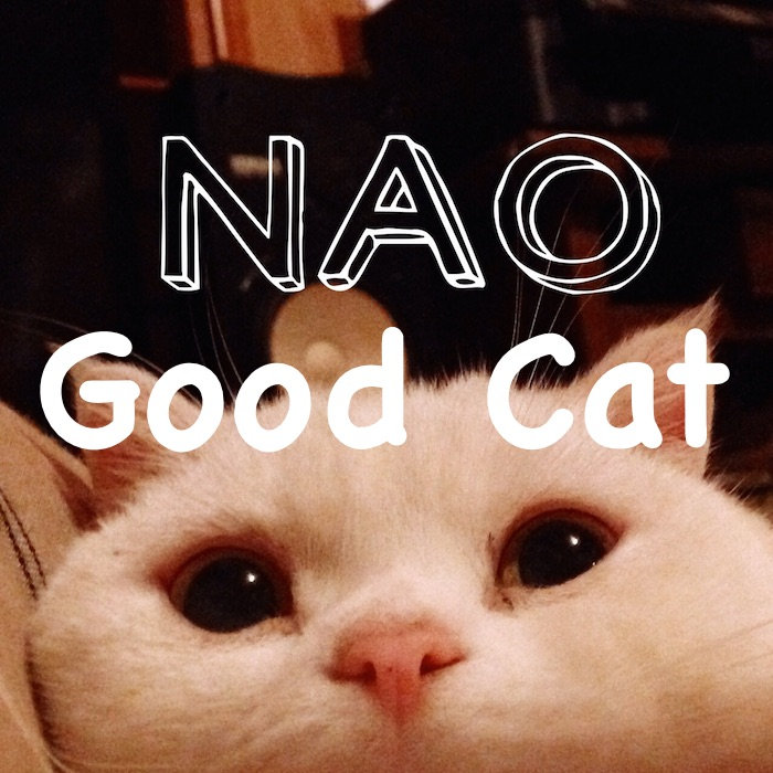 Good cat | Nao Otsuka