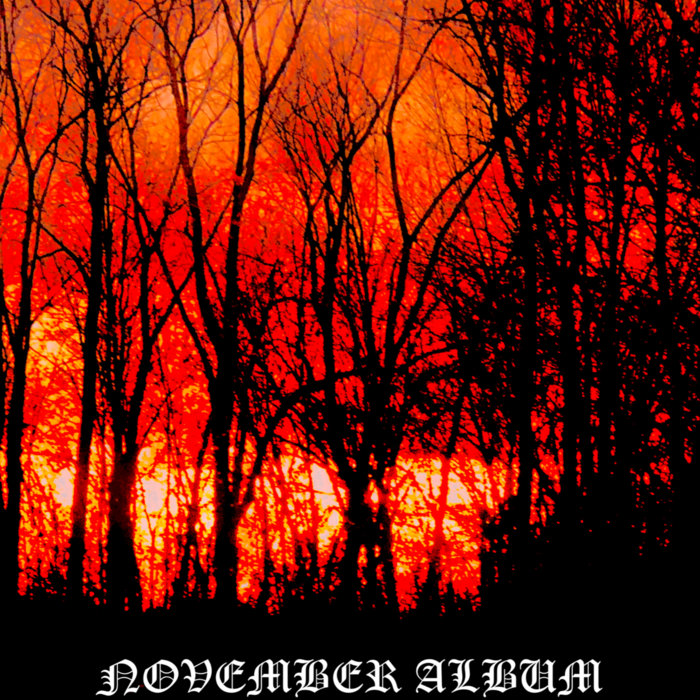 November Album | Animus the Fox