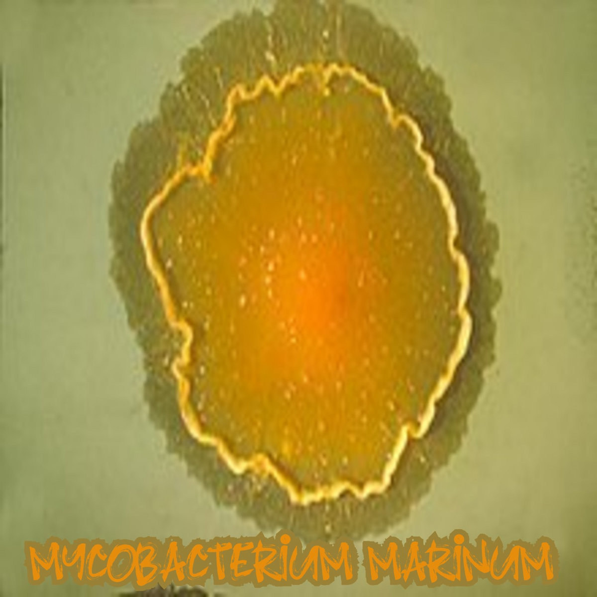 Mycobacterium Marinum | Mycobacterium Marinum | Ripping Guts Productions