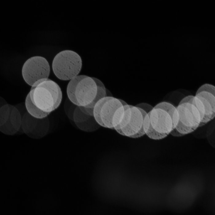 Look at the Lights | Wesley Rose
