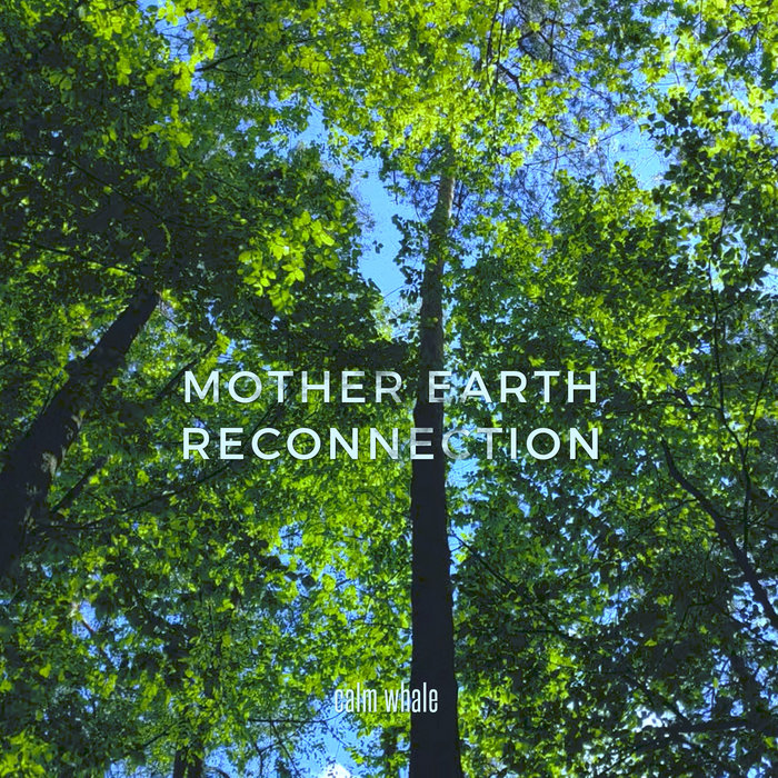 Mother Earth Reconnection Meditation | Calm Whale