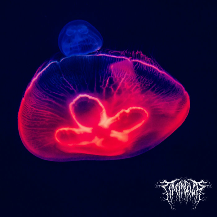 Timingila | Timingila | Juicy Papaya Records