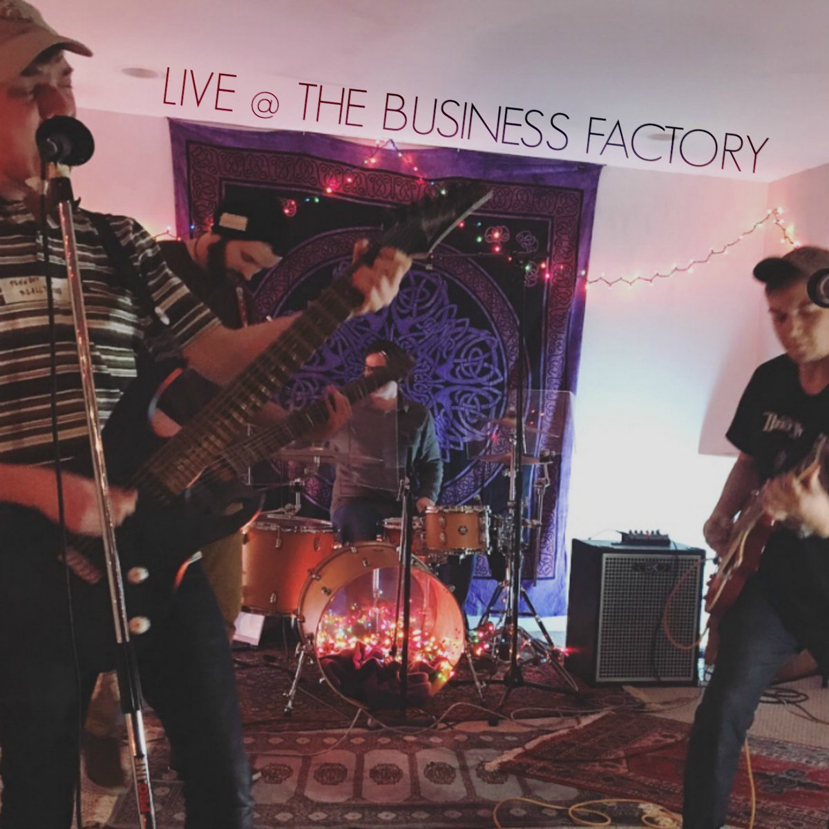 Carry (Live) | Shy Birds