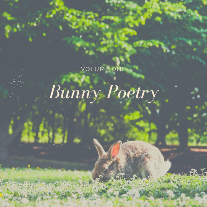 bunny poetry volume: one | dicks malone