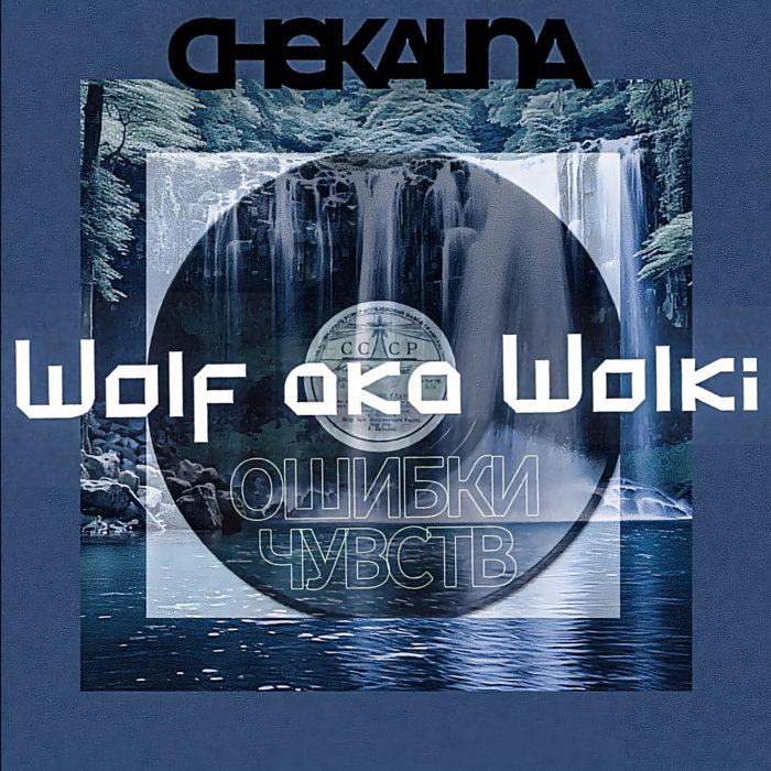 errors of feelings | Dj Wolf aka Wolki