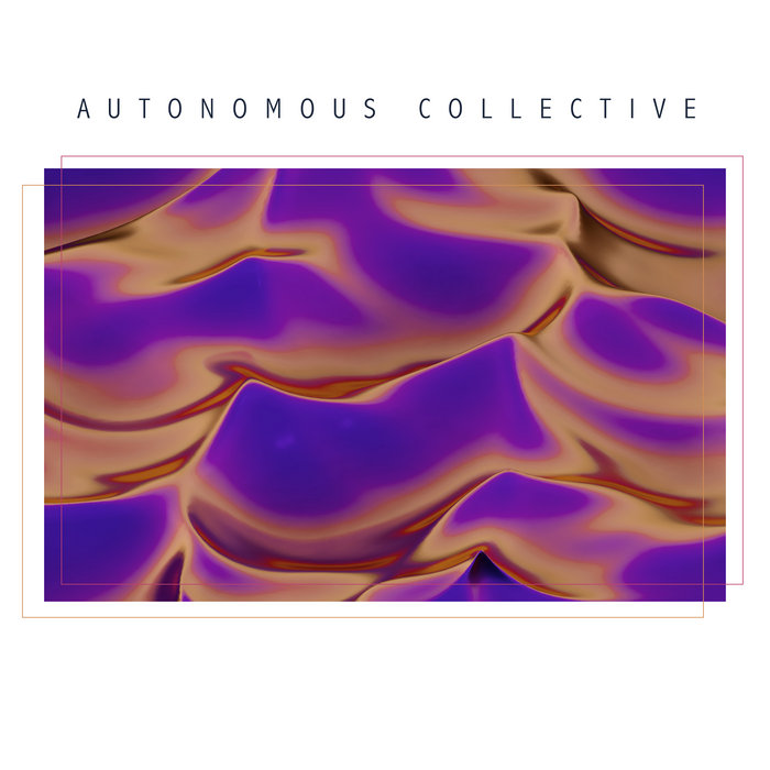 Autonomous Collective | Guy Inbar