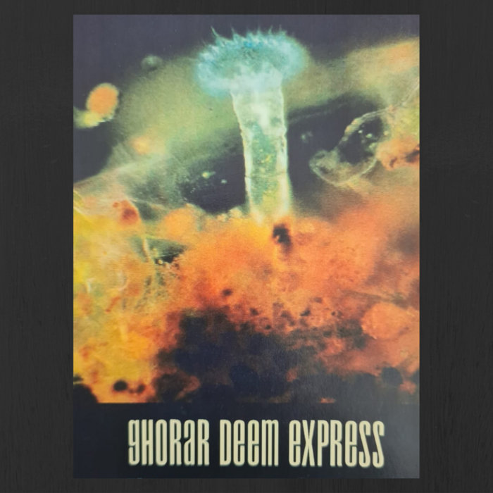 Ghorar Deem Express | Ghorar Deem Express