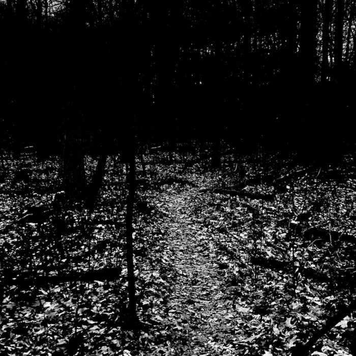 The Final Rest | Life Without Sense