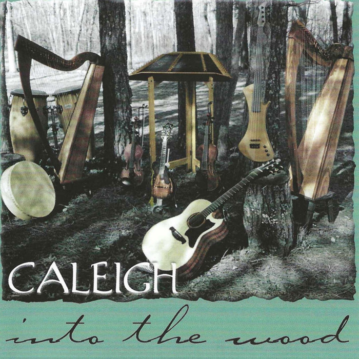 Into the Wood | Caleigh