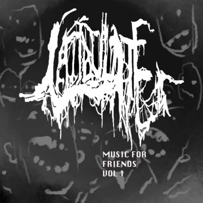MUSIC FOR FRIENDS VOL. 1 | Latibulate