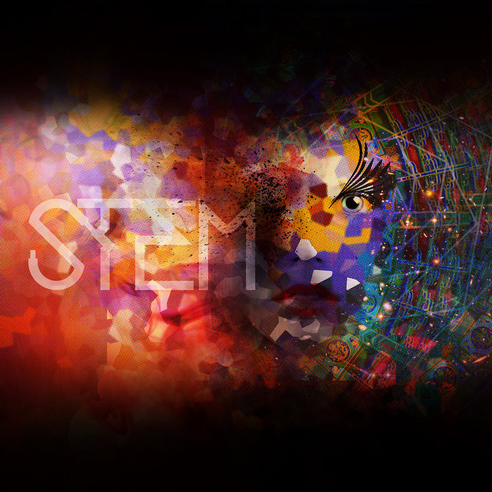 Self Transforming Elf Machine | STEM