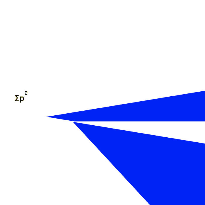 Squared | Sigma Proxy