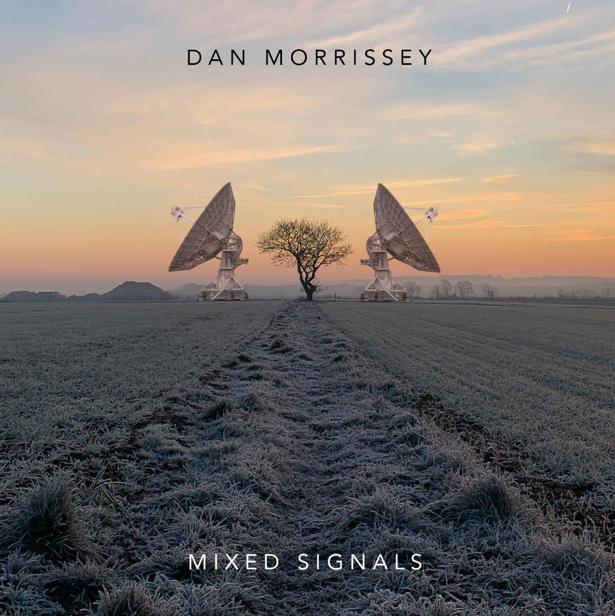 Mixed Signals | Dan Morrissey