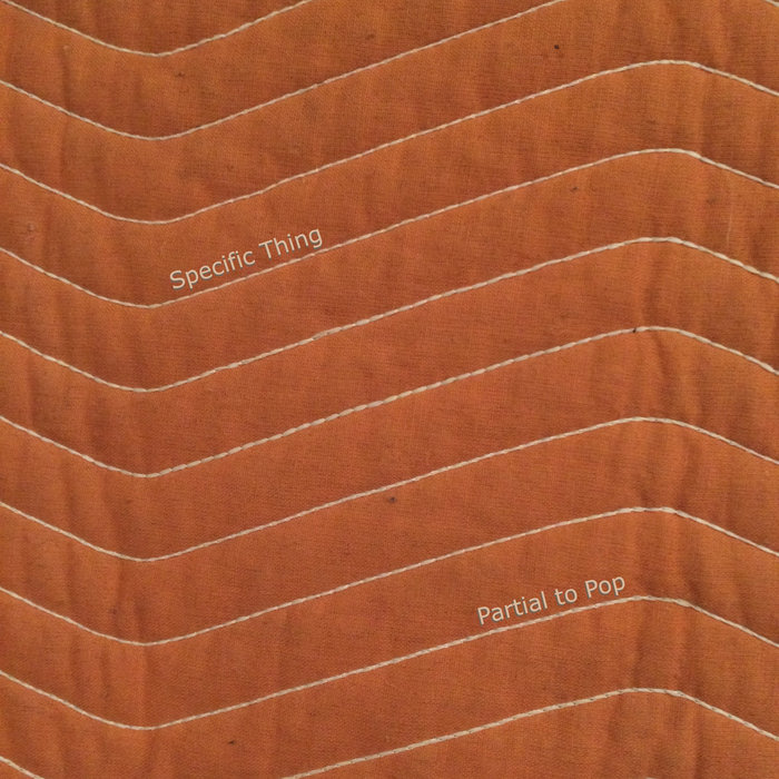 partial to pop (solo band demos) | Specific Thing