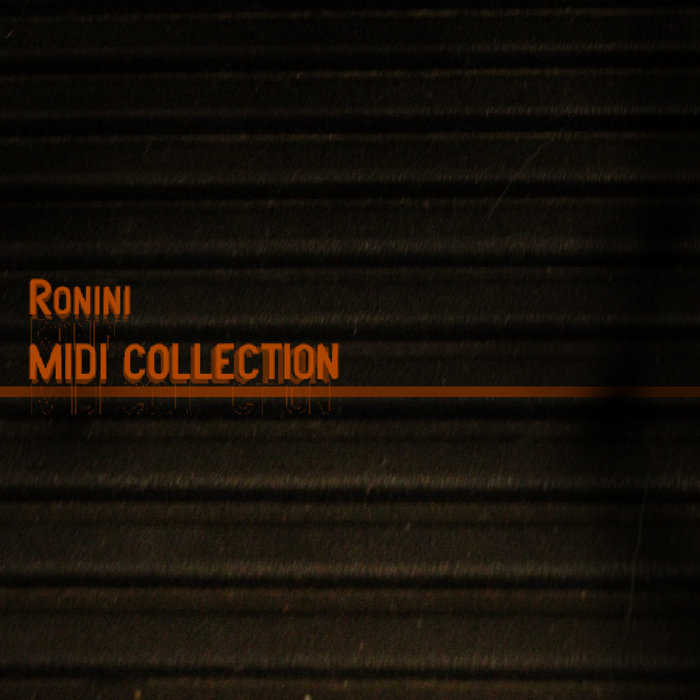 Midi Collection | ronini