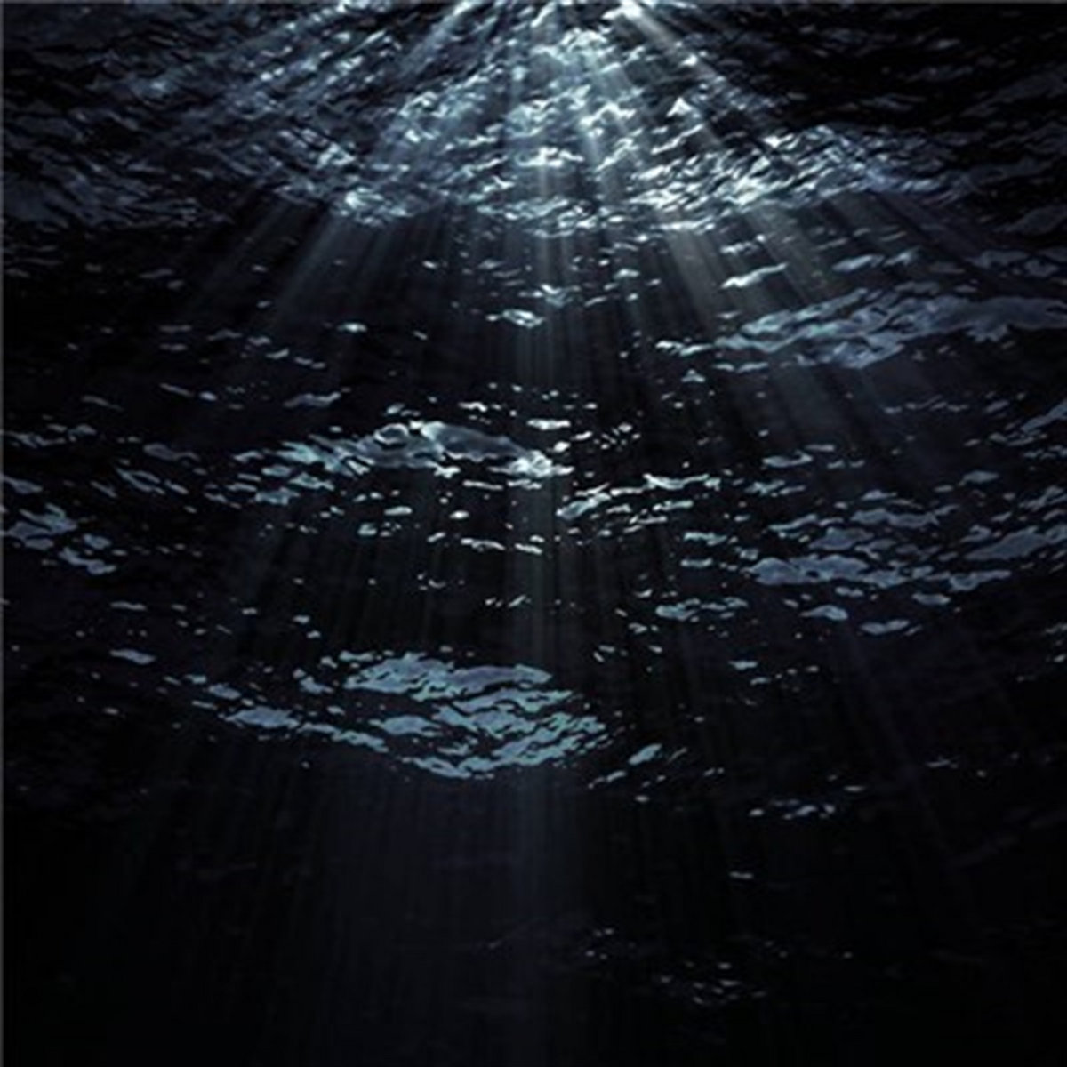 The Essence of Light and the Absence of Color | Jon Shuemaker