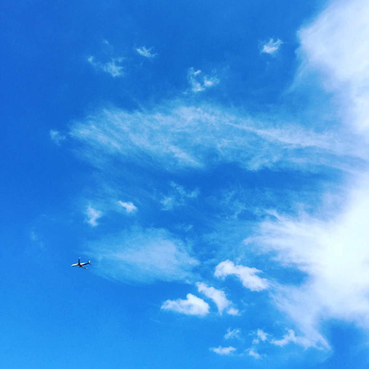 Fiction | Chase Mackey