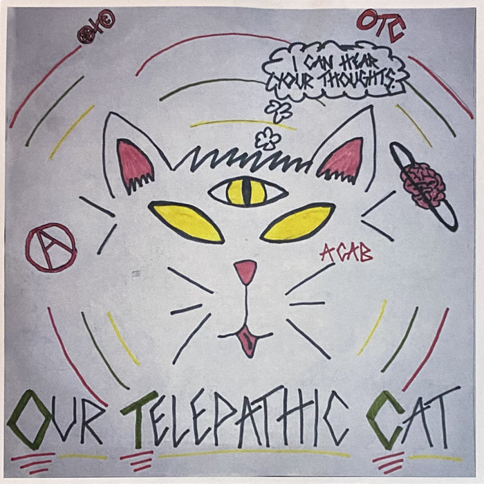Our Telepathic Cat | OTC