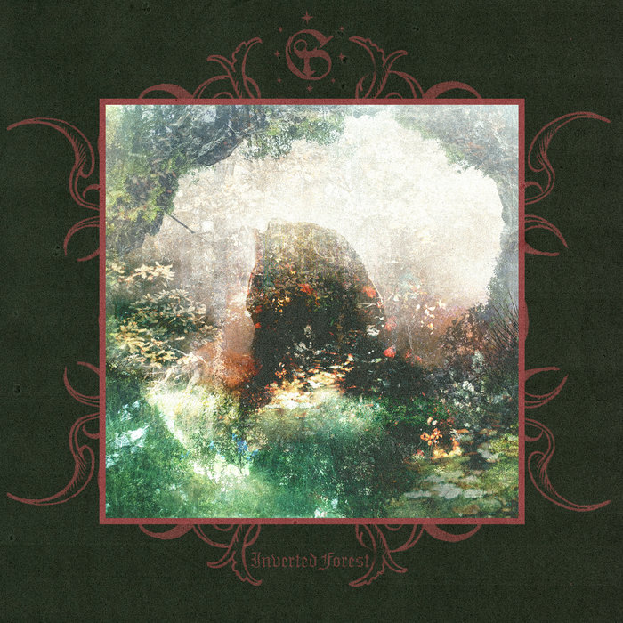 Inverted Forest | Sylfvr