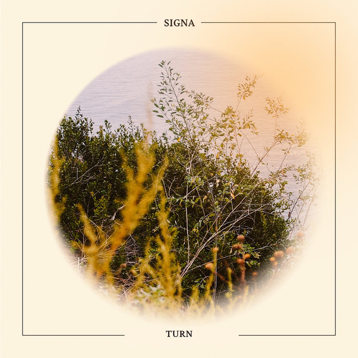 Turn | Signa | John Mark Nelson