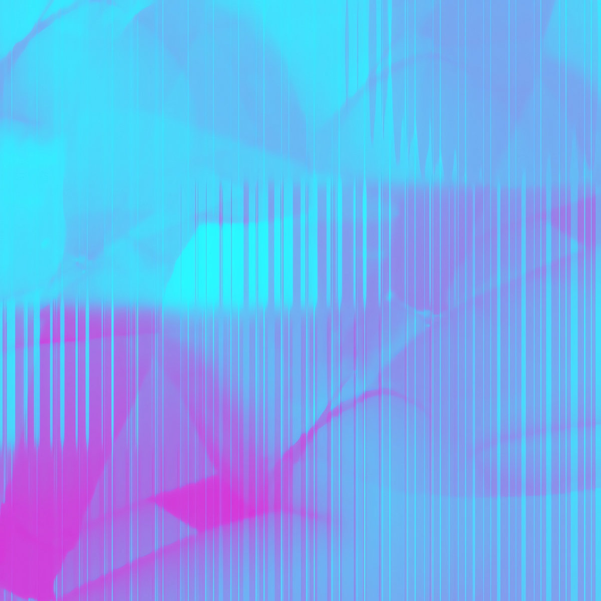 Reflected Memories | Narada