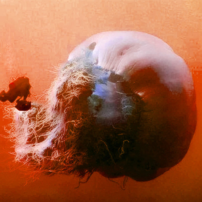 A giant blue and a red dwarf | Alister Flint