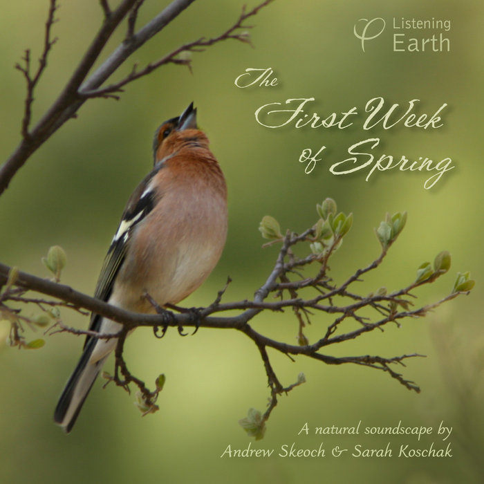 The First Week of Spring | Andrew Skeoch