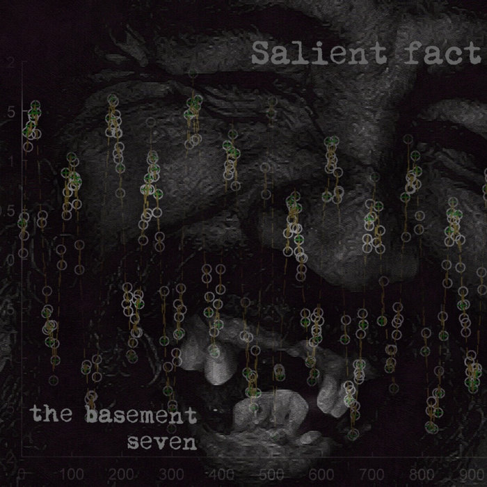 salient fact | The Basement Seven | Basement 7 Recordings