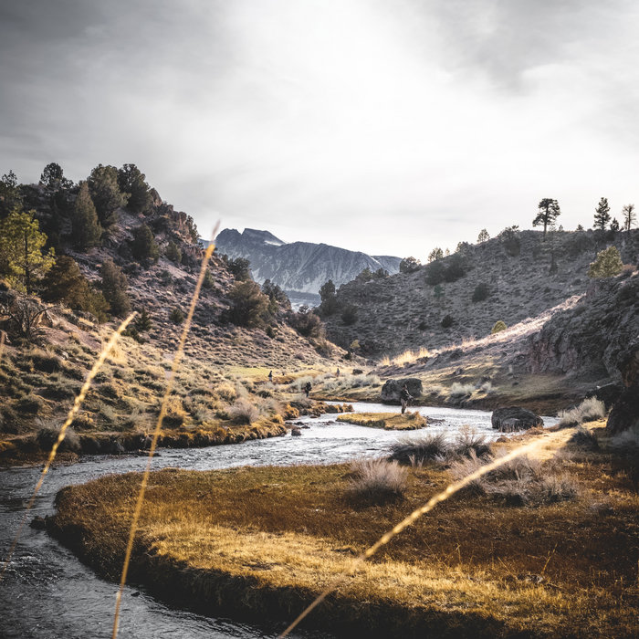 Rainy Valley | Cynthia Byrd | Aether Gaze