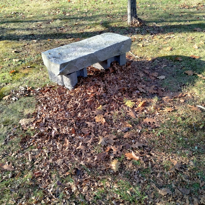 Find a Way to Leave | Joystack