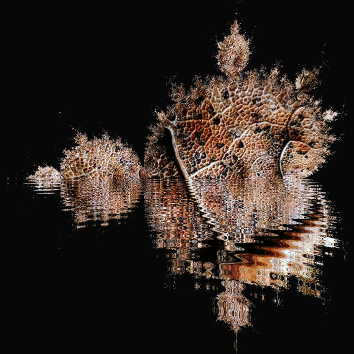 Ні впало | Vlad Suppish