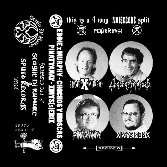 This is a 4 way NOISECORE split | E x M