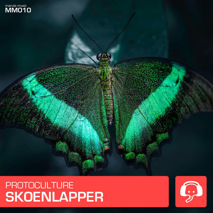 Skoenlapper | Protoculture
