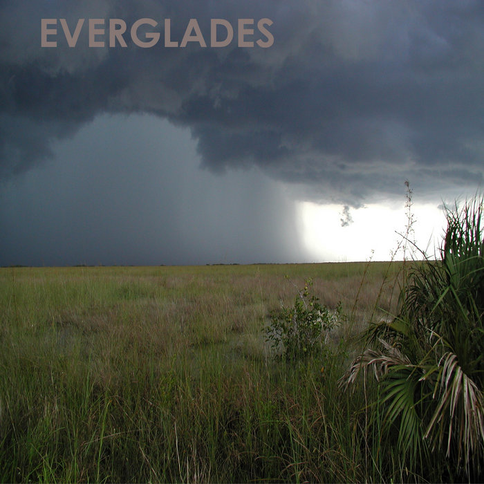Everglades | Craig Mainprize