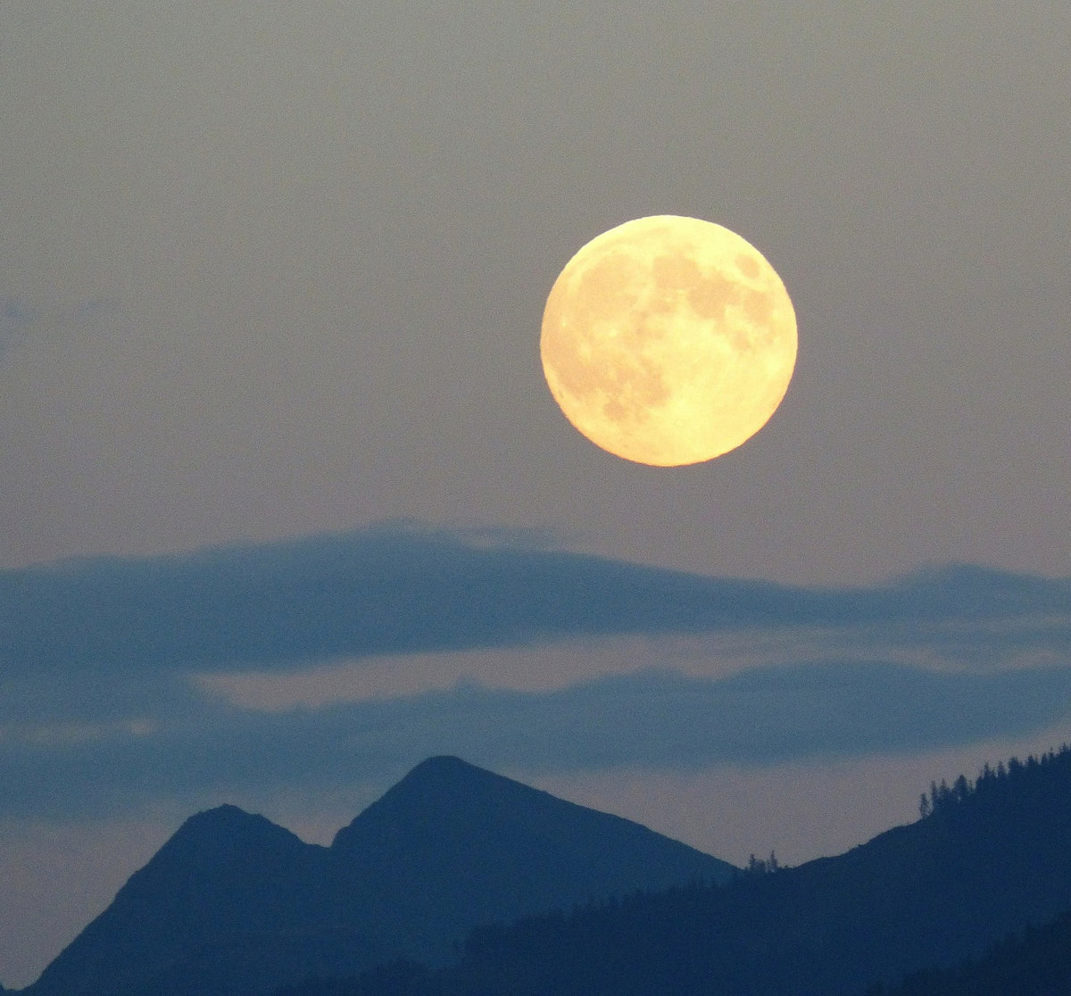 TWIN PEAR | Twin Pear