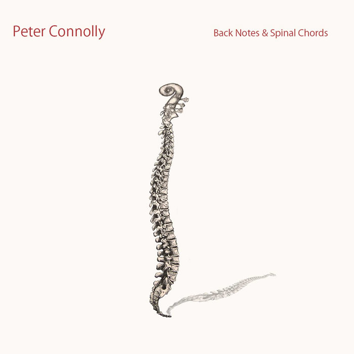 Back Notes and Spinal Chords | Peter connolly