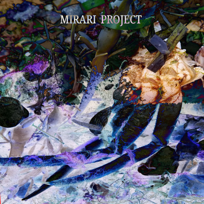 MIRARI_PROJECT | MIRARI_PROJECT