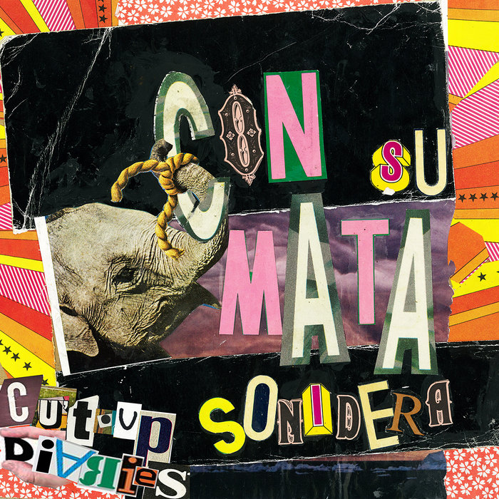 Cut-Up Diaries | CONSUMATA