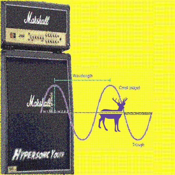 Hypersonic Youth | Twin Towers