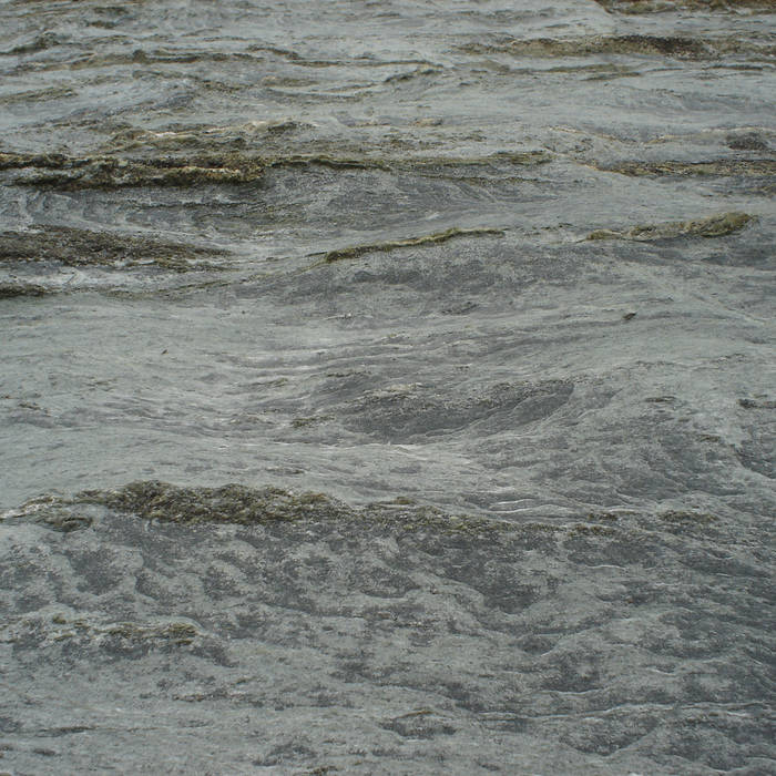 Other Islands | Barbara Lueneburg, Burkhardt Friedrich, Ninon Gloger ...