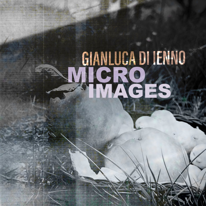 Microimages | Gianluca Di Ienno | Gianluca Di ienno