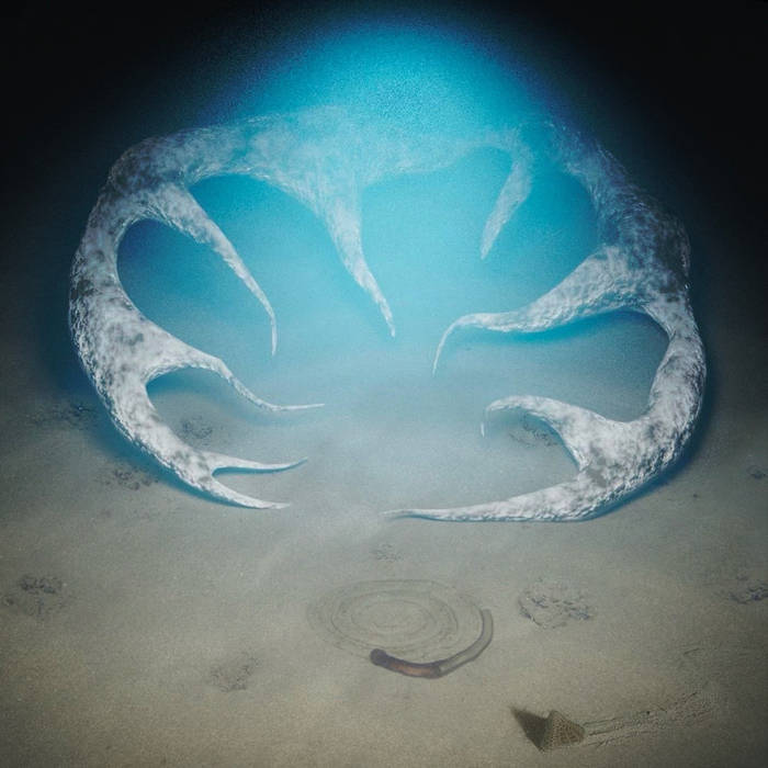 Abyssal Plain Pictures