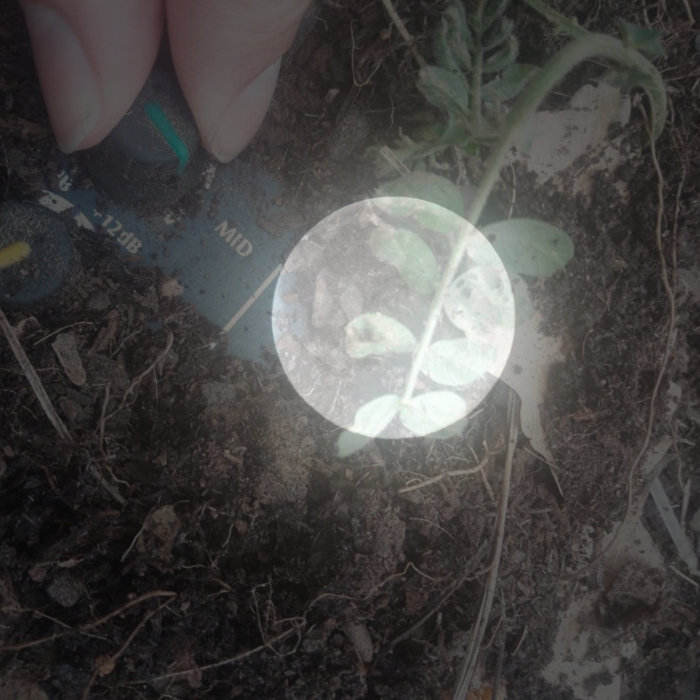 Full Moon Trance | David Sitges Sardà