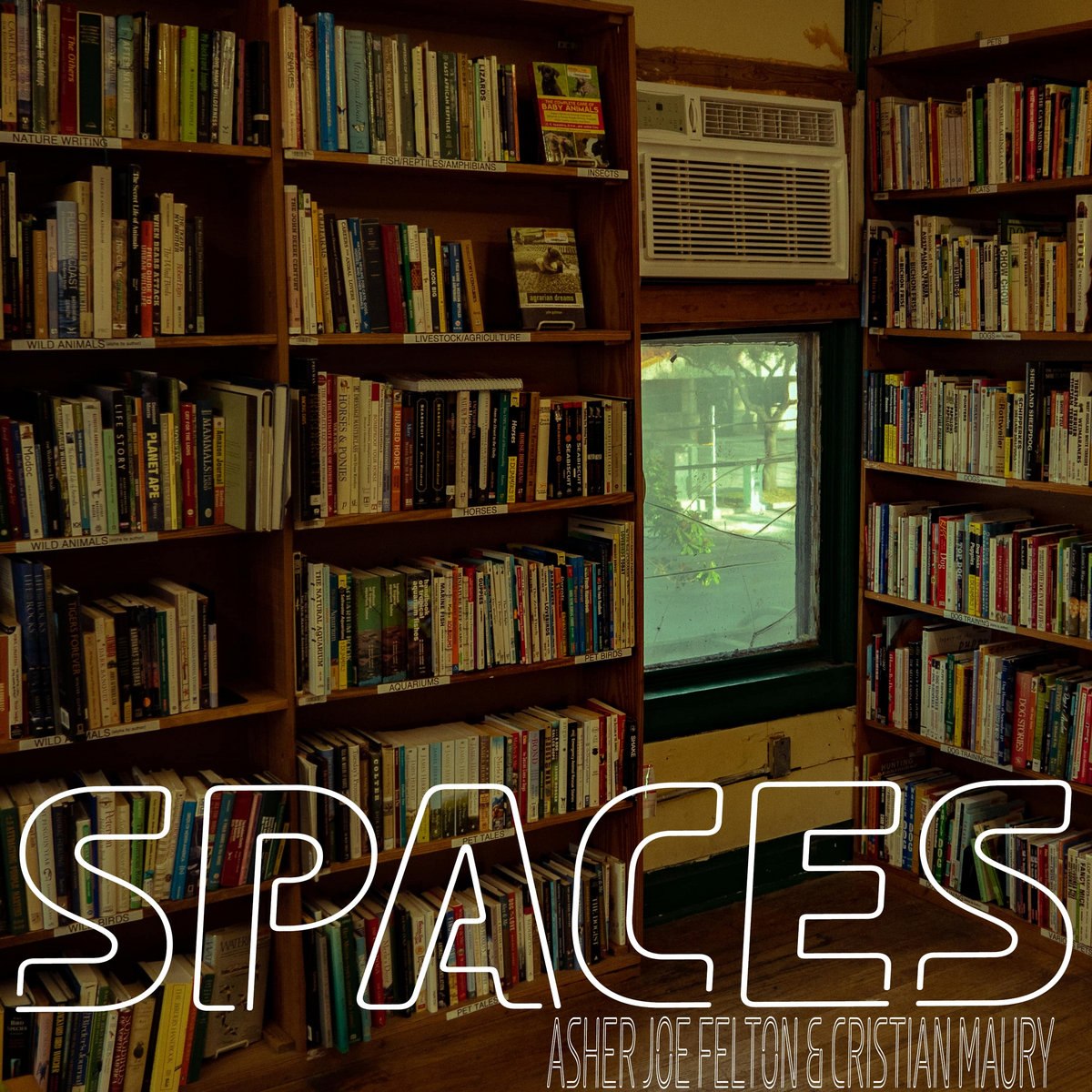 Spaces | Asher Joe Felton