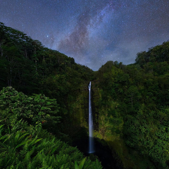 Hilo Side | Alexitus Libbrexitium