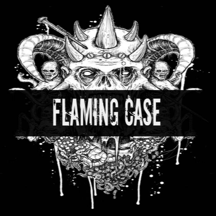 DarkMakeR | flaming case | Flaming Case